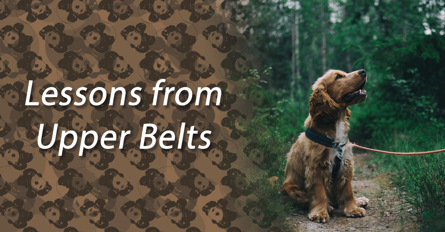 Lessons from Upper Belts – Inverted Gear